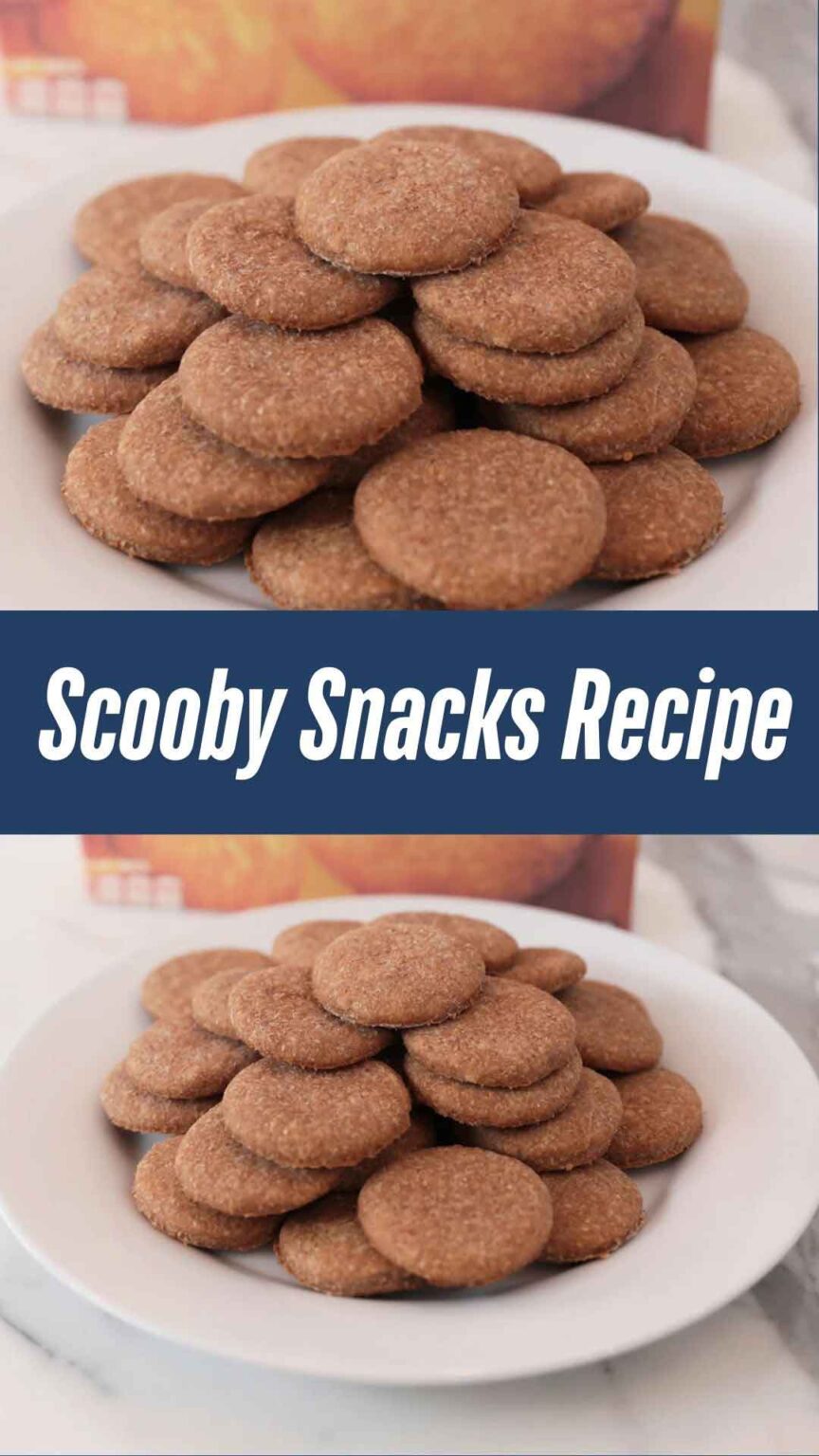 Scooby Snacks Recipe – A Fun, Fruity Treat Inspired by the Classic ...